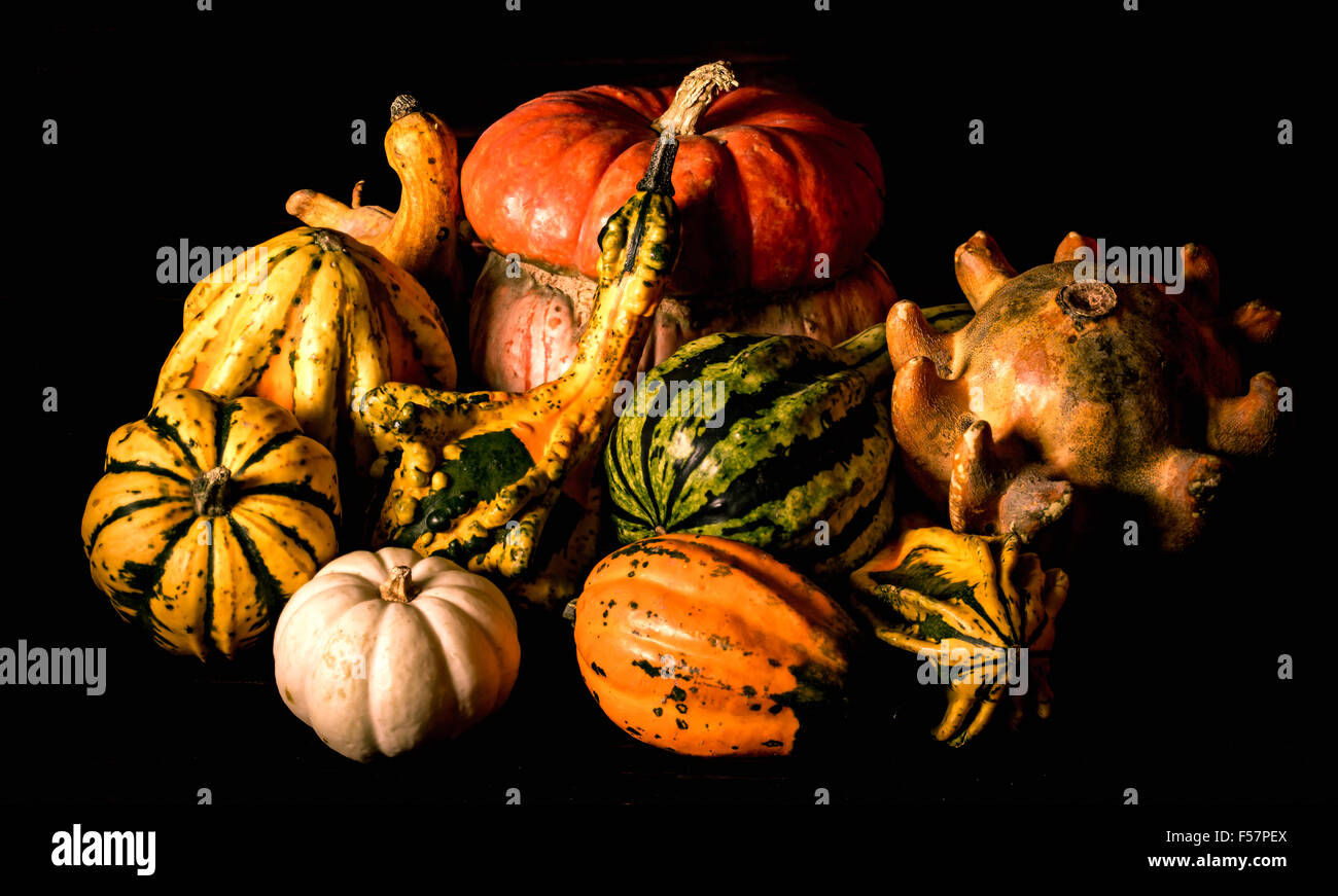 Decorative gourd hi-res stock photography and images - Alamy