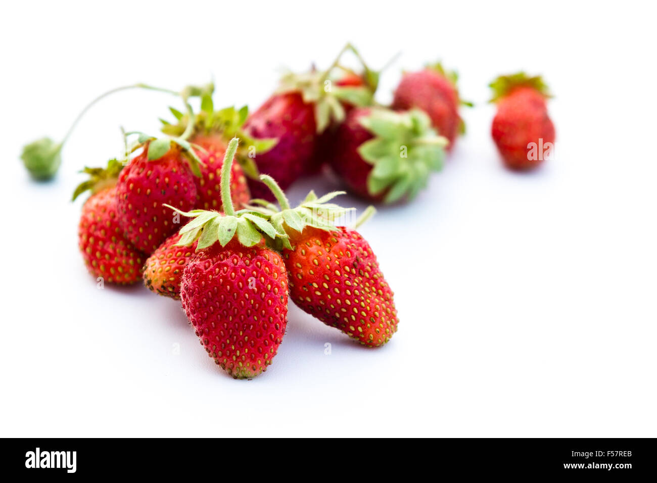 Wild strawberries hi-res stock photography and images - Alamy