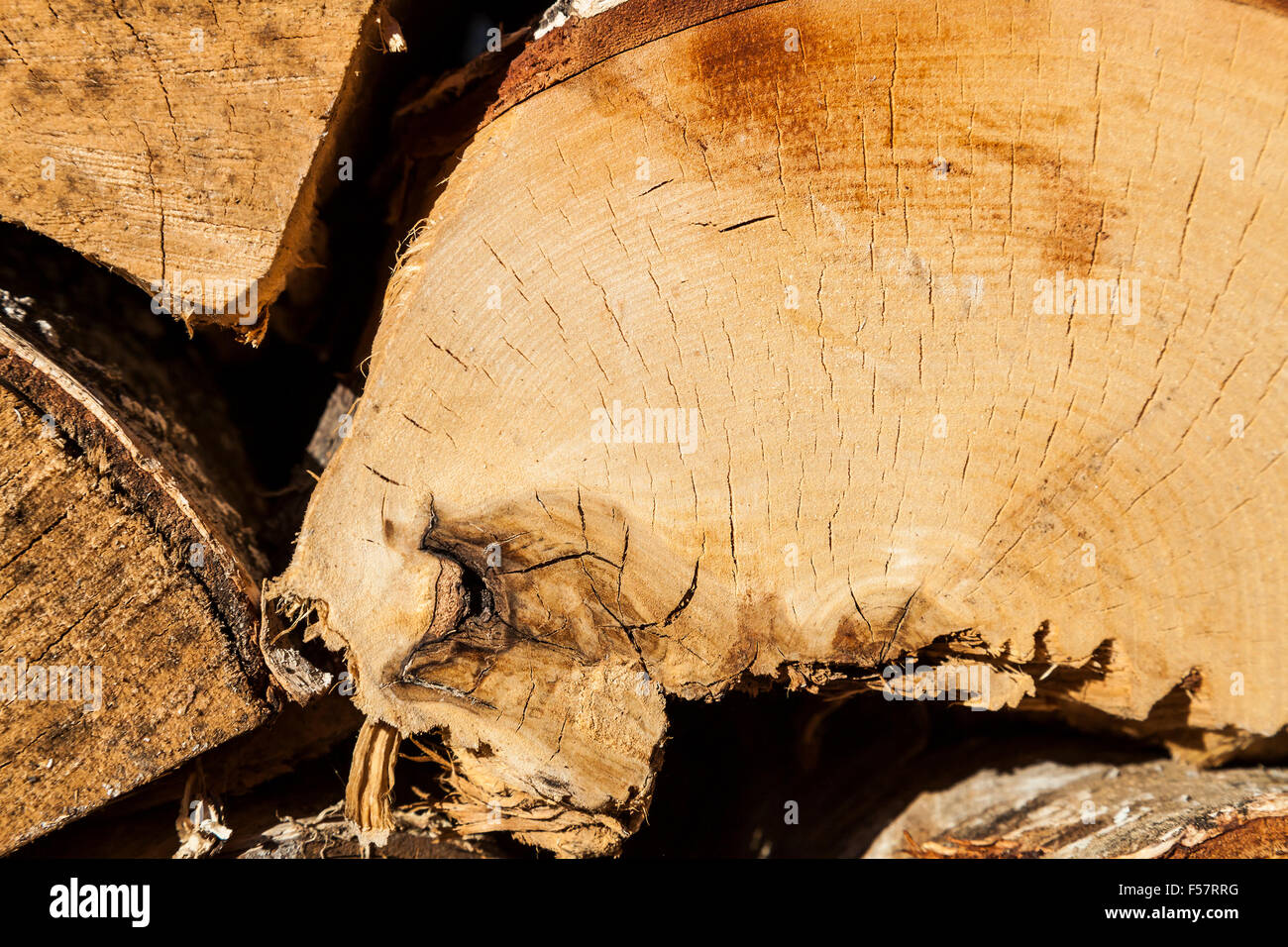Log pile texture hi-res stock photography and images - Alamy