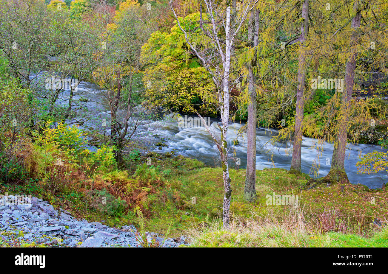The River Brathay in autumn, Langdale Valley, Lake District National ...