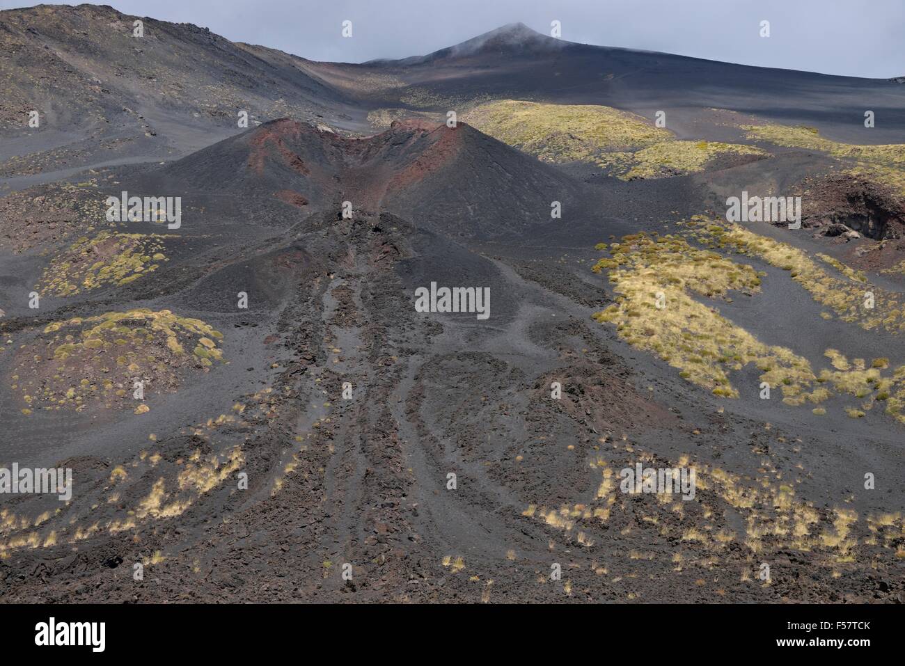 Side crater La Montagnola, Mount Etna, Sicily, Italy Stock Photo - Alamy Side crater La Montagnola, Mount Etna, Sicily, Italy Stock Photo - Alamy