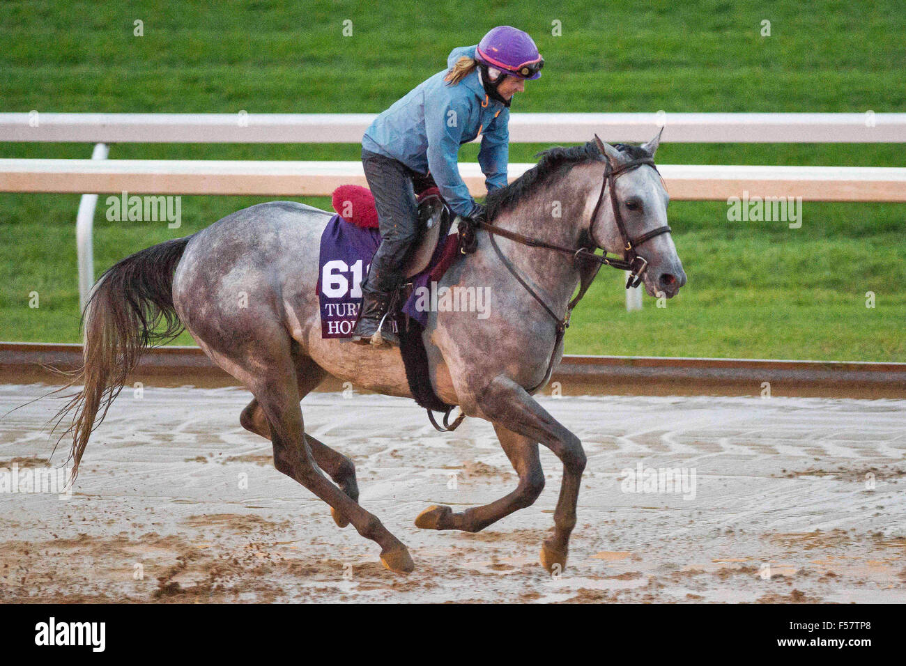 Lexington, Kentucky, USA. 28th Oct, 2015. October 28, 2015 : Holy Lute ...