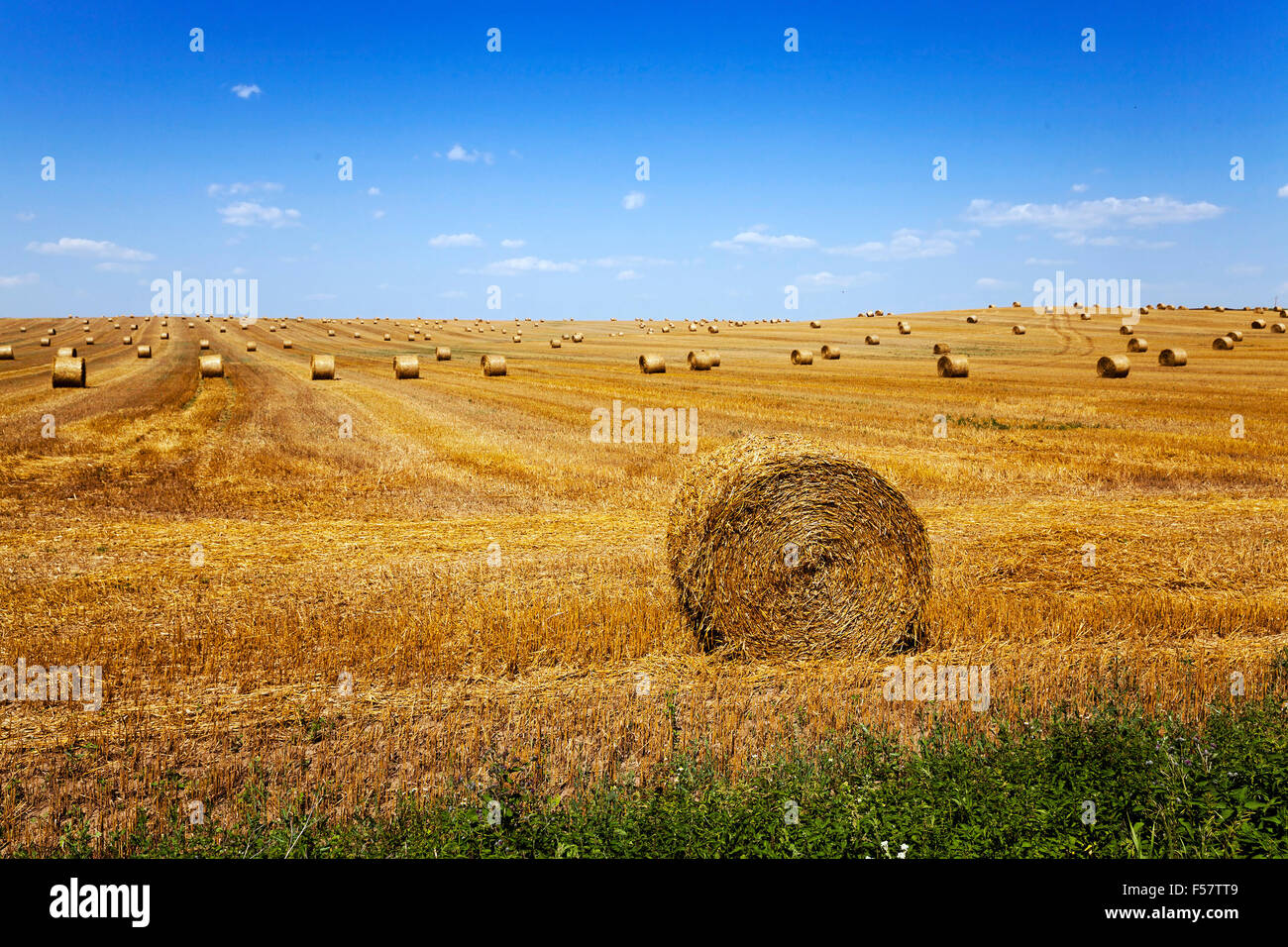 straw stack . harvesting Stock Photo - Alamy