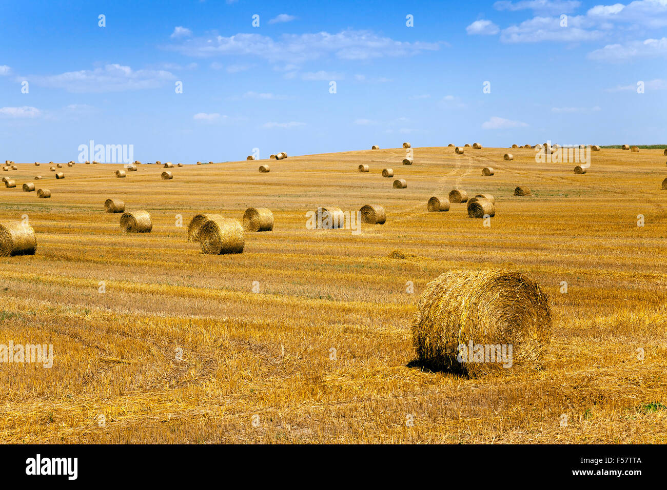 straw stack . harvesting Stock Photo - Alamy