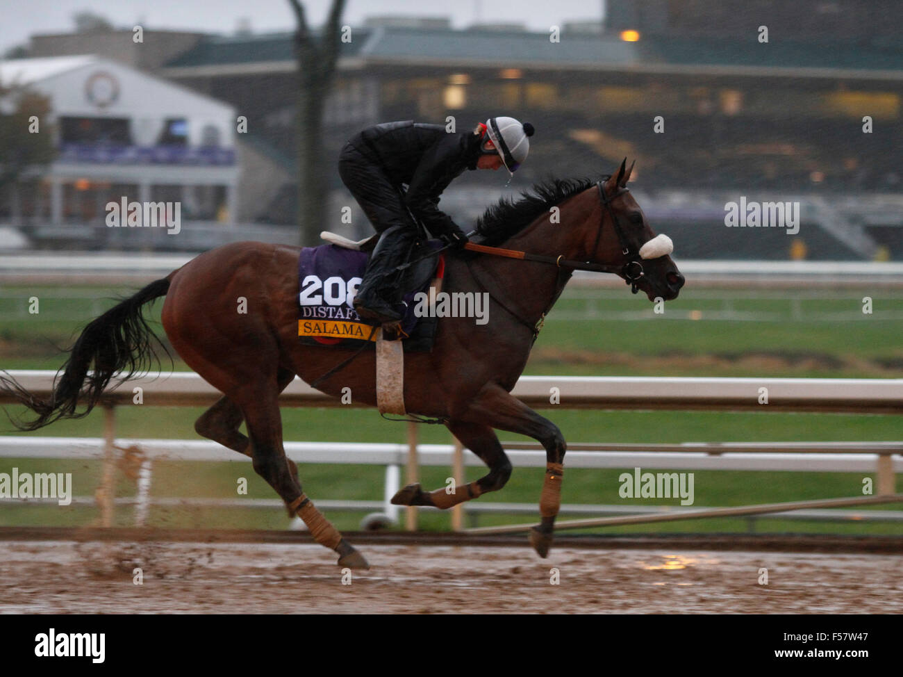 Charles lopresti hi-res stock photography and images - Alamy