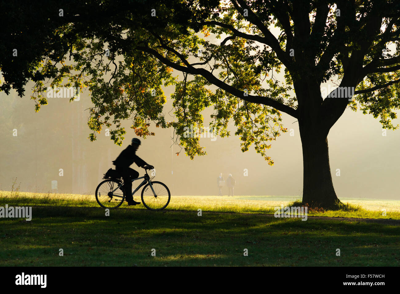 Cycling suit hi-res stock photography and images - Alamy