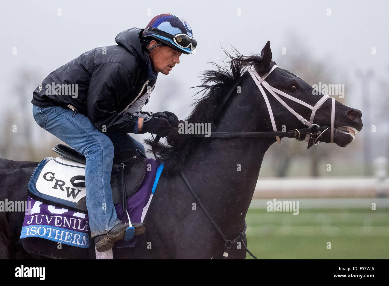 Kentucky, KY, USA. 28th Oct, 2015. October 28, 2015: Isotherm, trained ...