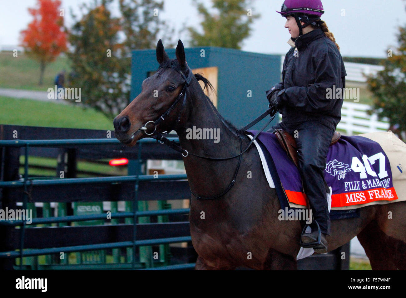 Miss france 10 28 15 01 jpg hi-res stock photography and images - Alamy