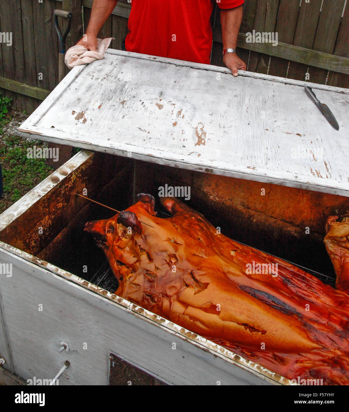 A dramatically Crispy Roasted Pig, being prepared to be removed from it ...