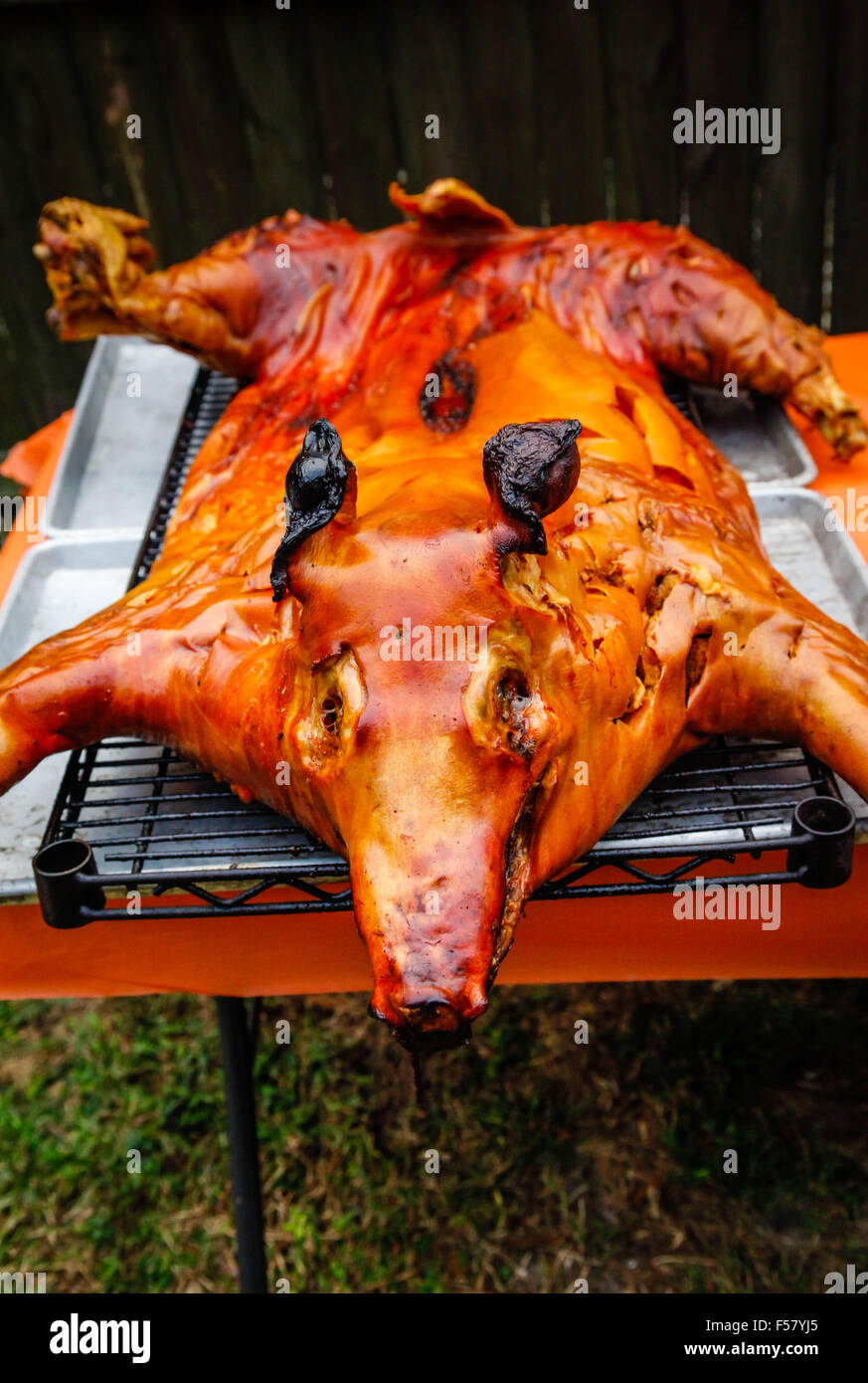 Whole Roasted Pig High Resolution Stock Photography and Images - Alamy