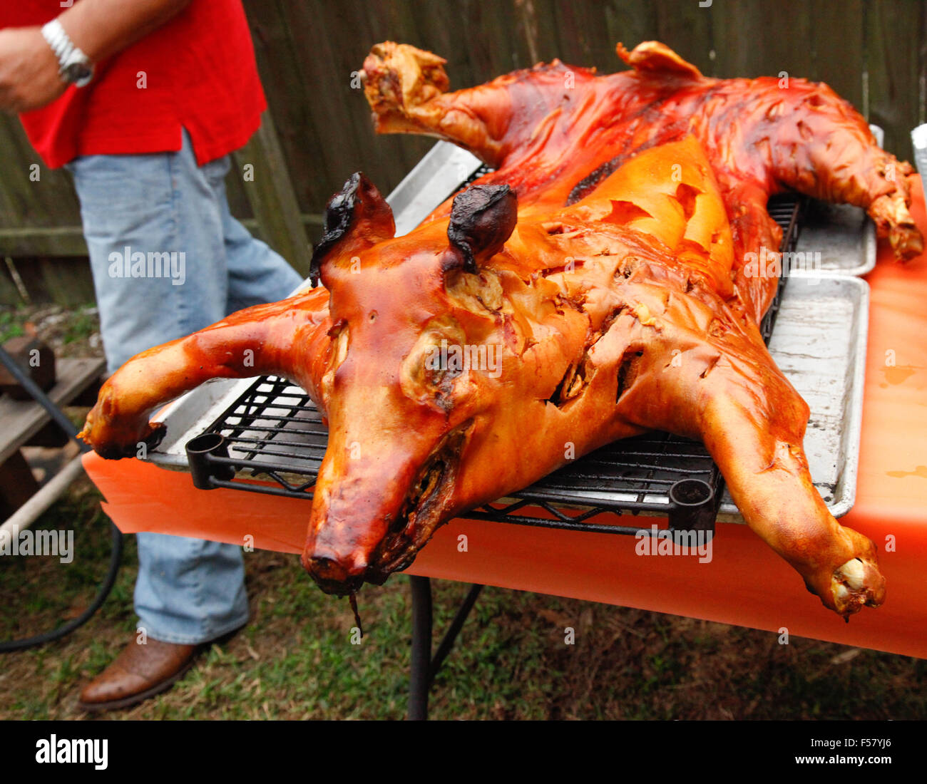 Roasted whole suckling pig hi-res stock photography and images - Alamy