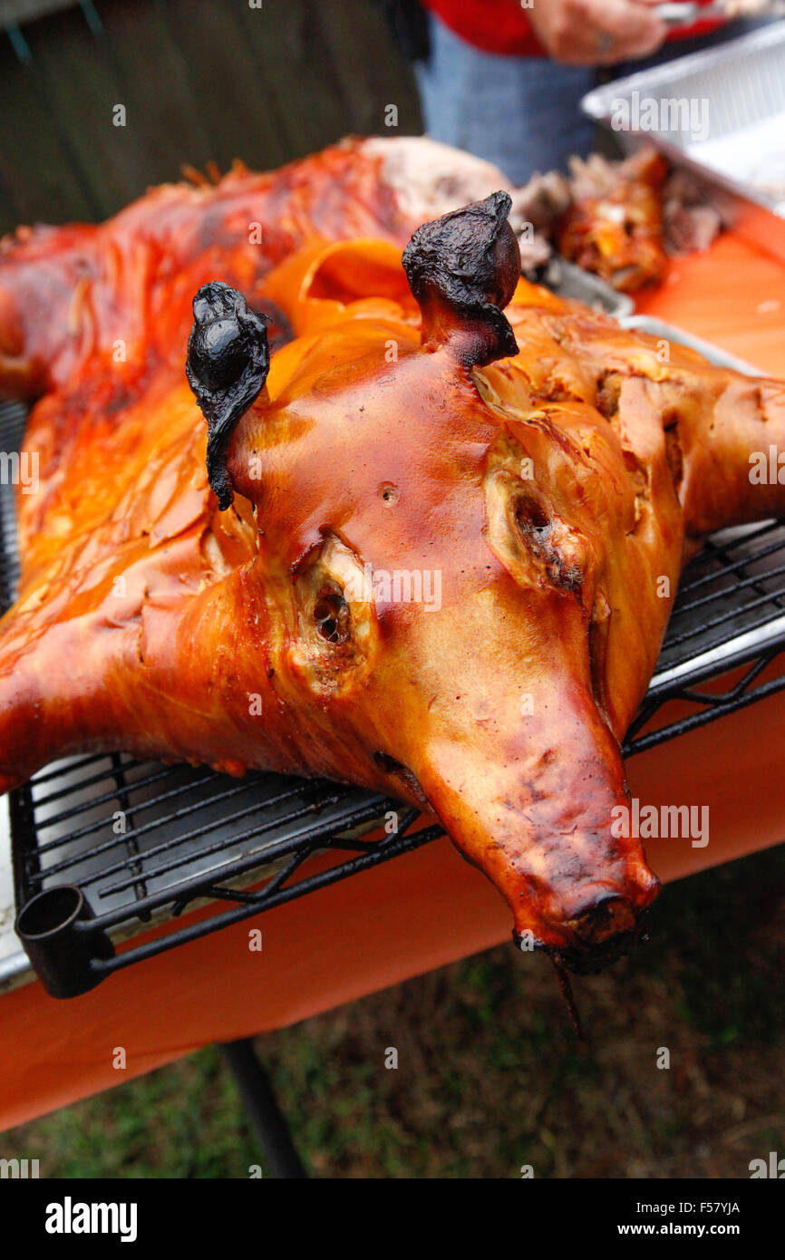 A dramatically Crispy Roasted Pig on a rack outdoors, just removed from ...