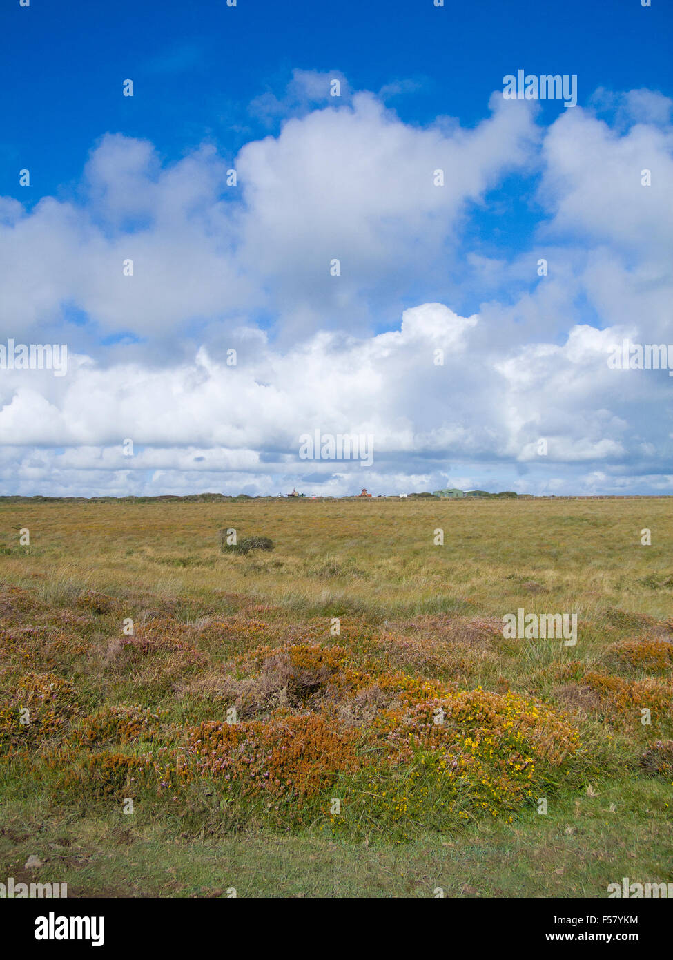 The Lizard ( Kynance Farm ) National Nature Reserve, Lizard Peninsula ...
