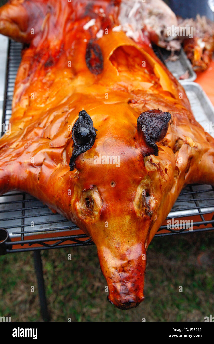 A dramatically Crispy Roasted Pig on a rack outdoors, just removed from ...