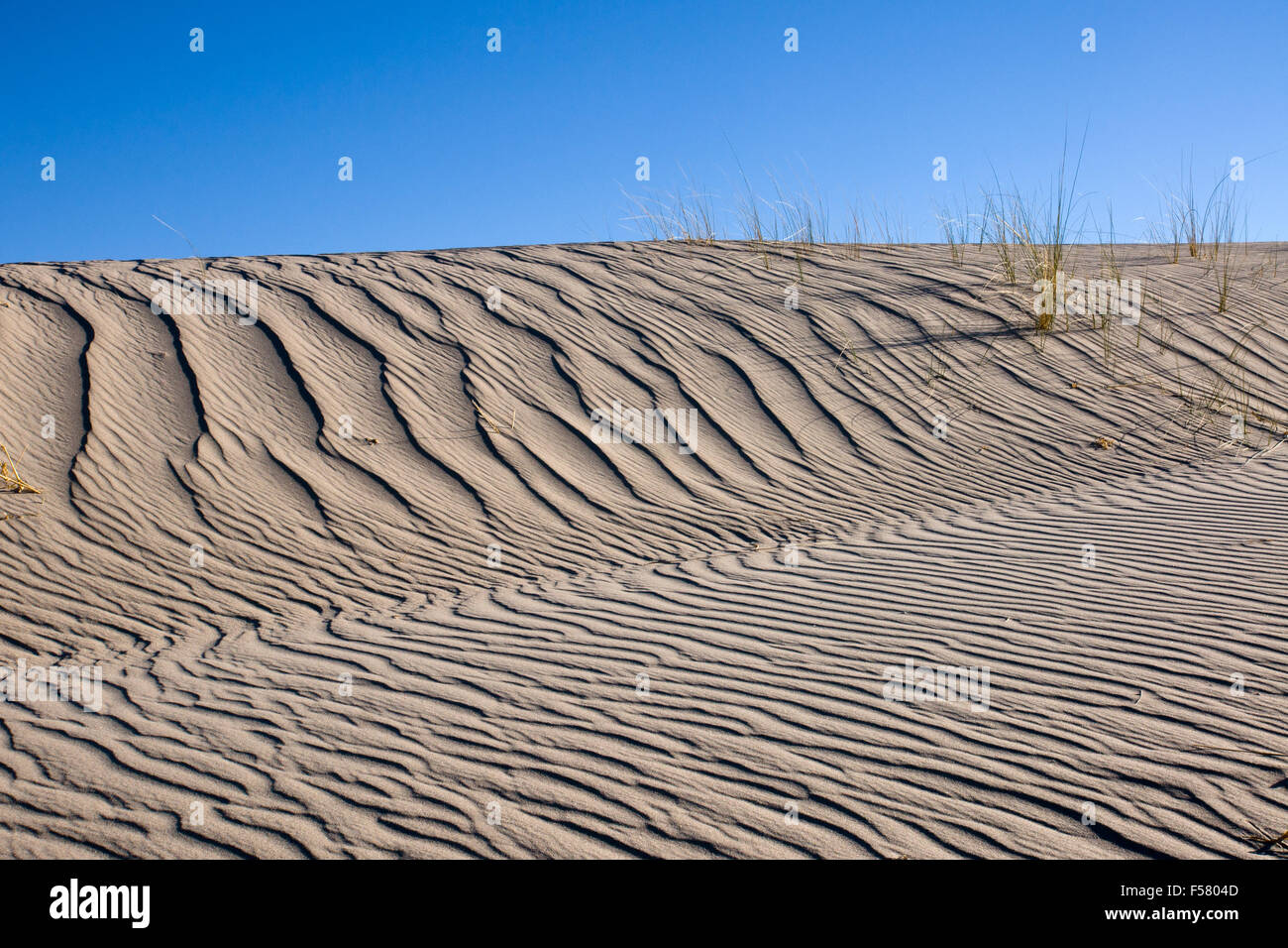 Ripple gras hi-res stock photography and images - Alamy