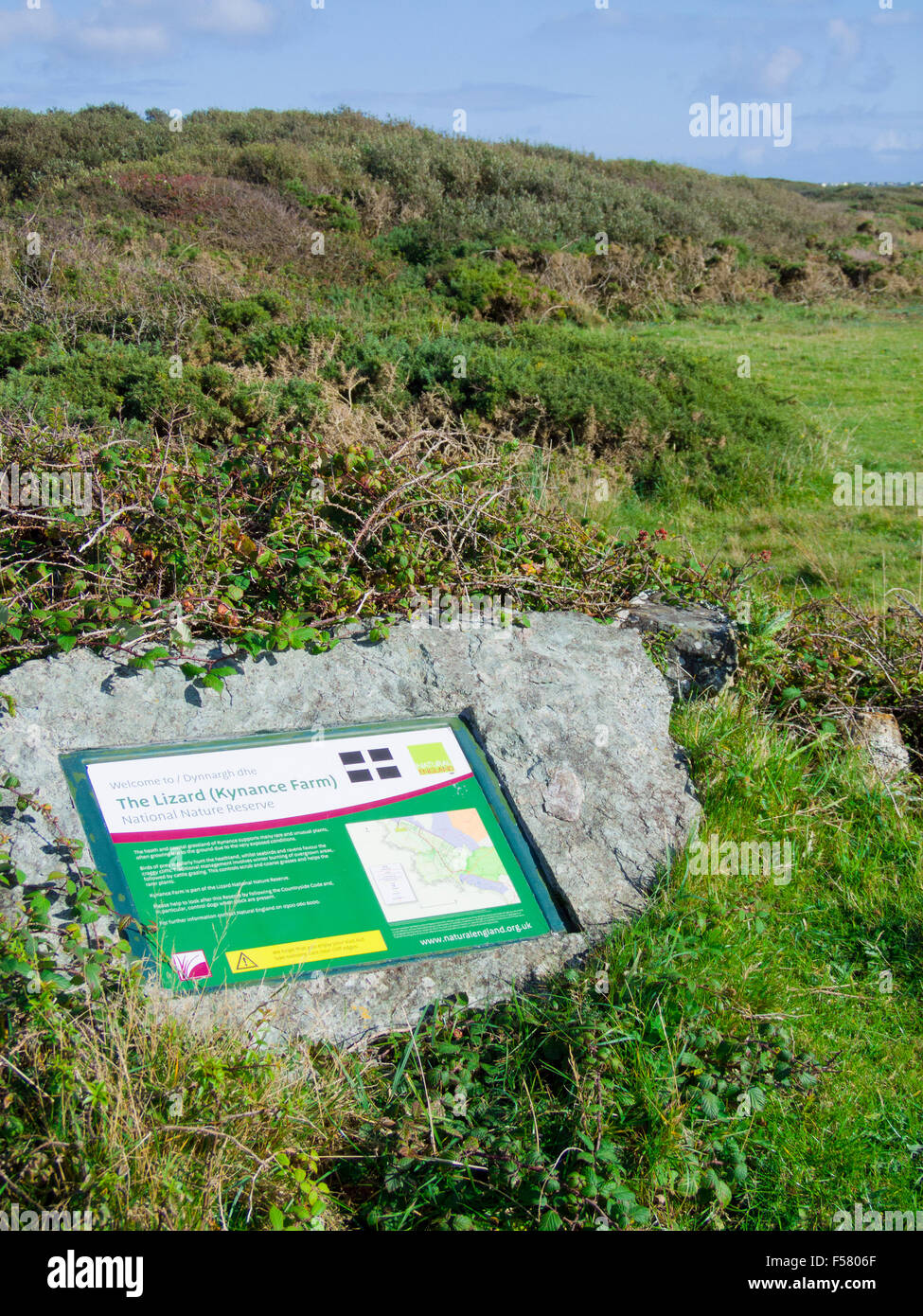 The Lizard ( Kynance Farm ) National Nature Reserve, Lizard Peninsula ...