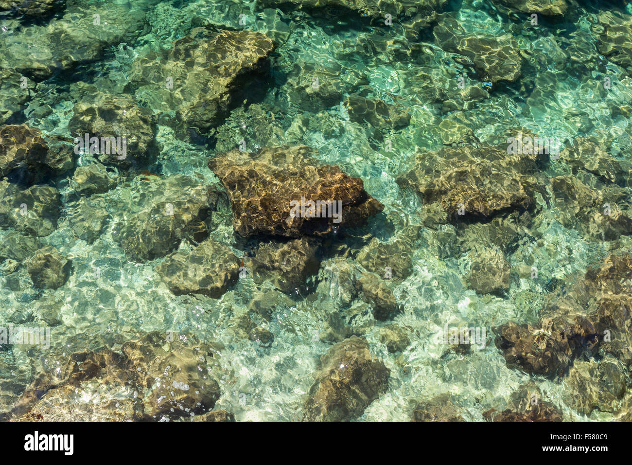 Shallow sea water viewed from hi-res stock photography and images - Alamy