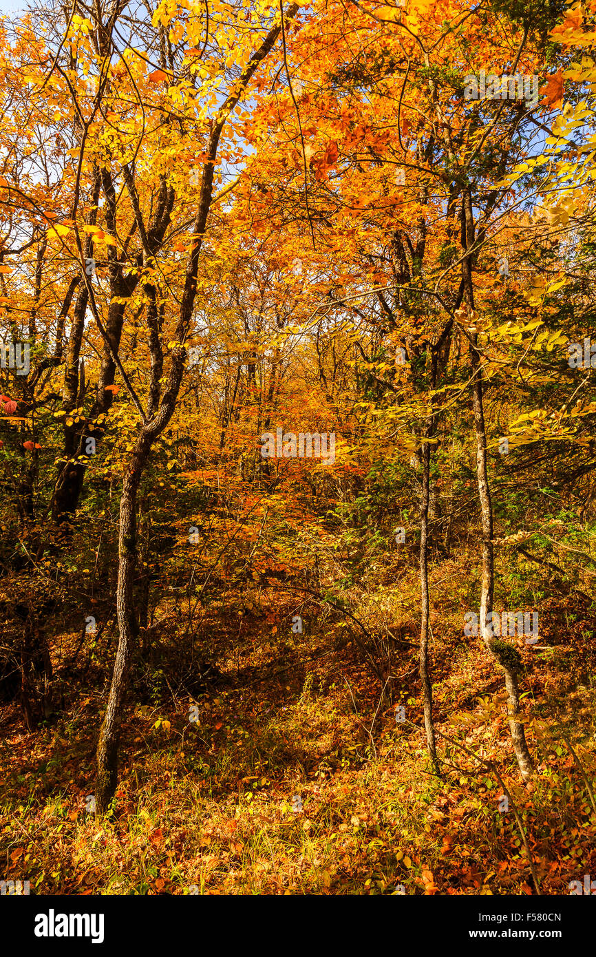 Autumn sunset on Agsu pass.Azerbaijan Stock Photo - Alamy