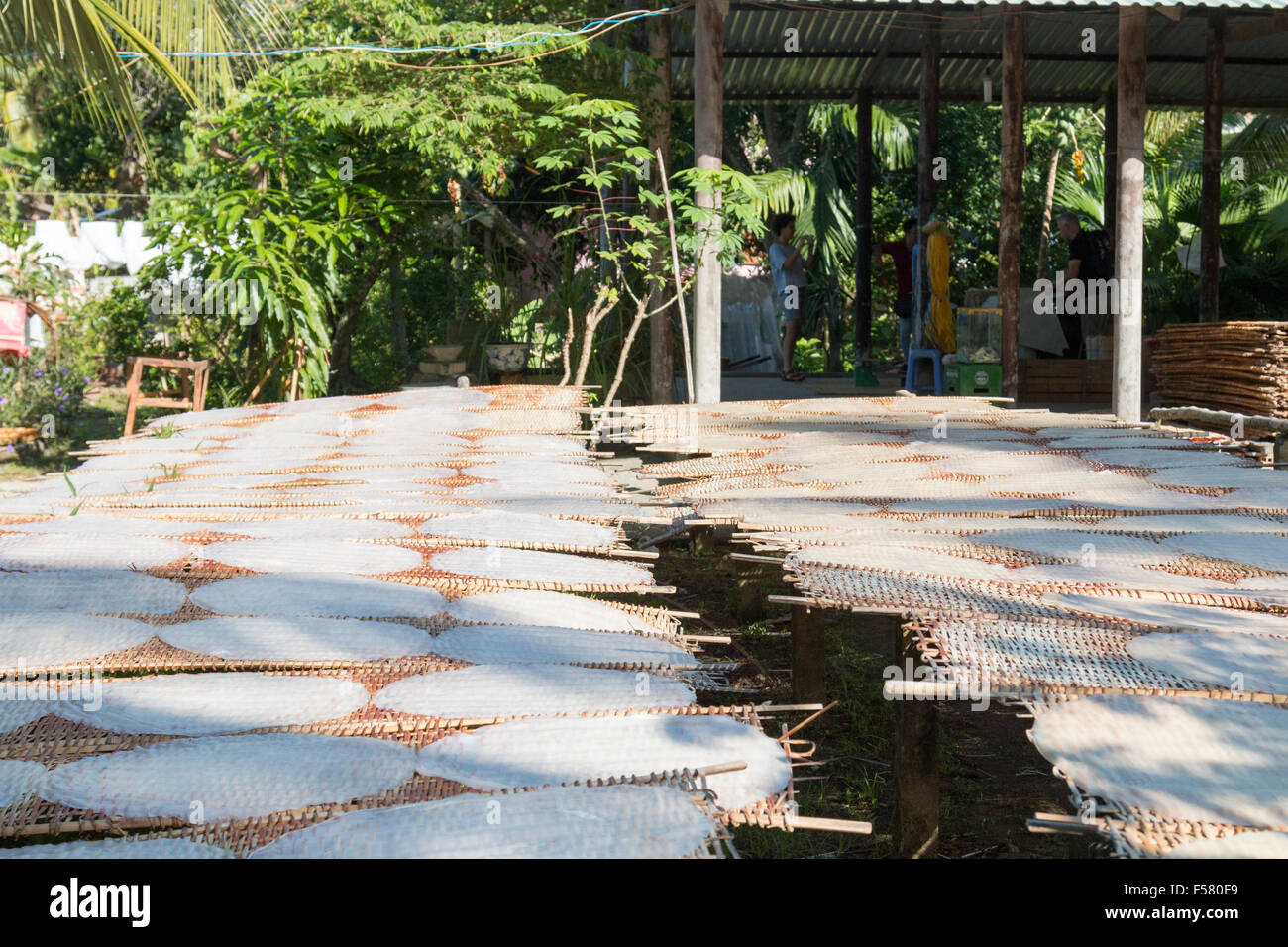 Sau Hoai's rice noodle factory , Can Tho, Mekong Delta, rice paper ...