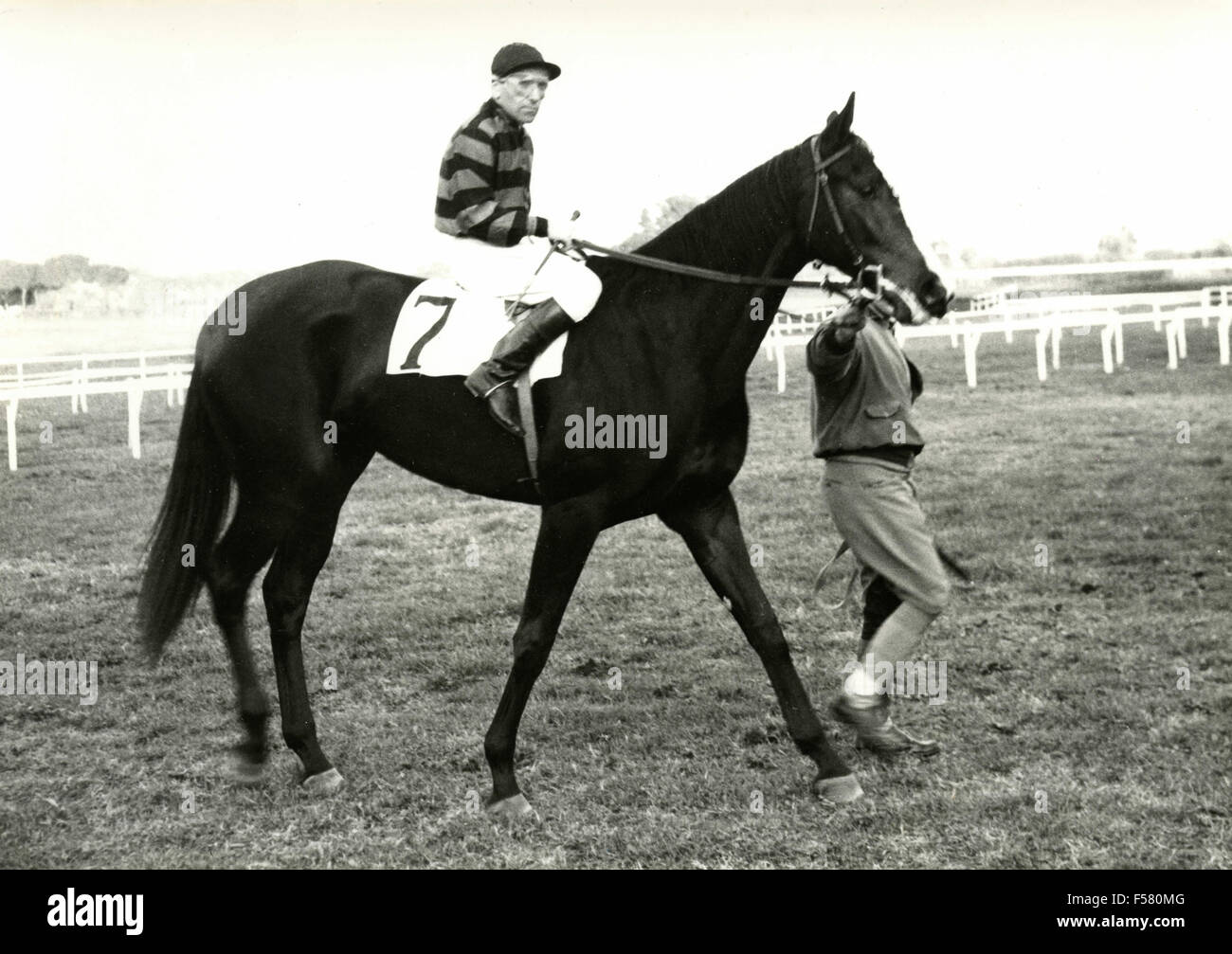 Pacing horse hi-res stock photography and images - Alamy