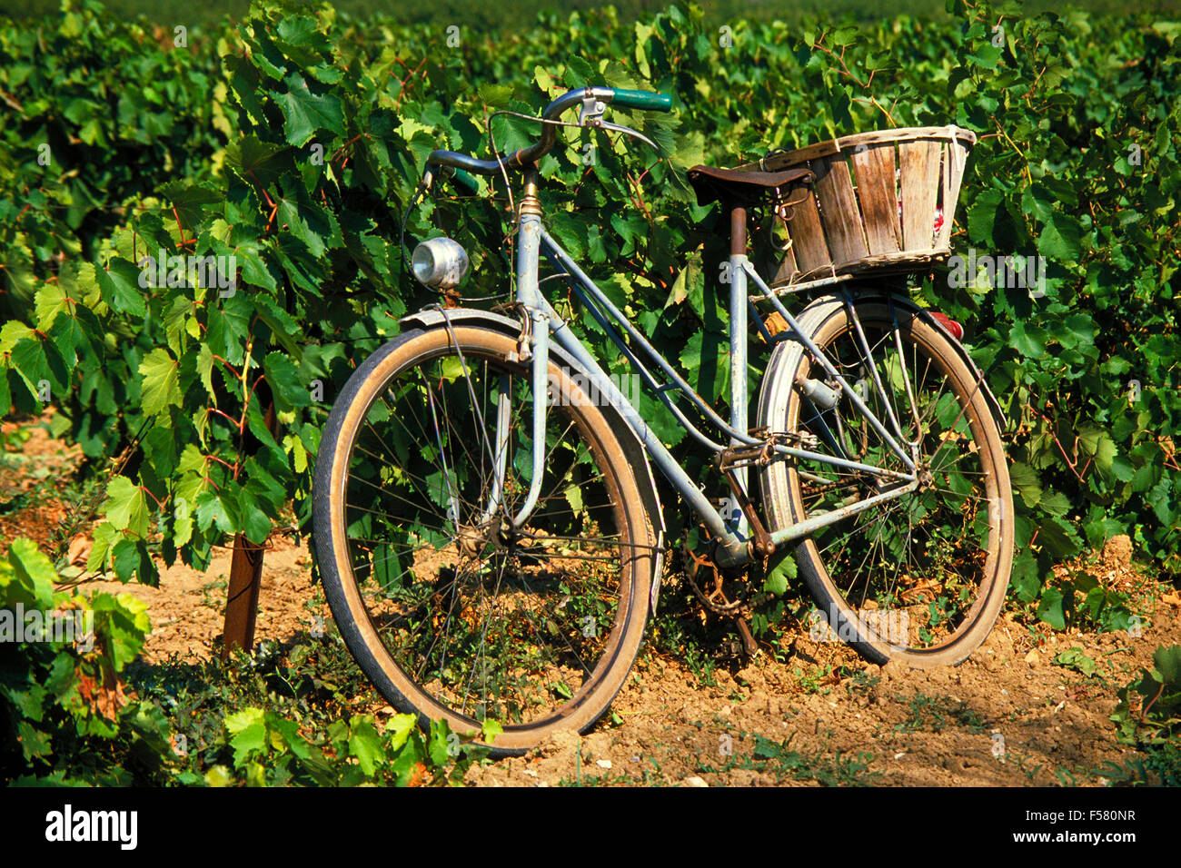 French bike in vineyard Stock Photo - Alamy
