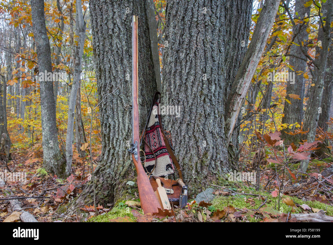 Flintlock rifle hi-res stock photography and images - Alamy