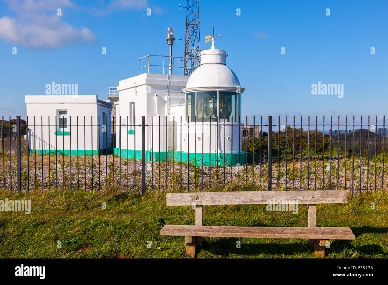 Berry head hi-res stock photography and images - Alamy