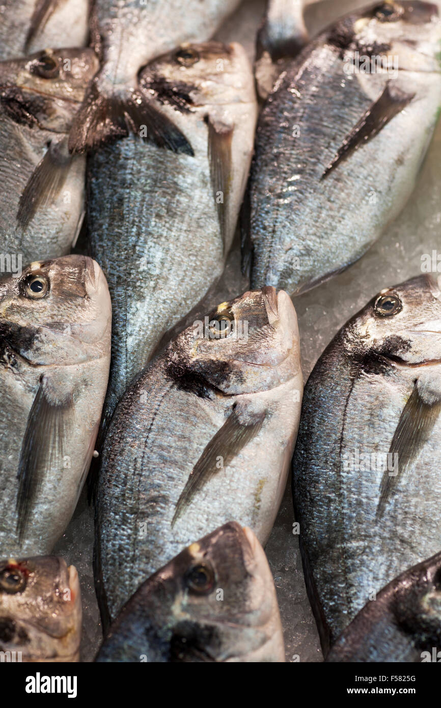 Leeds fish market hi-res stock photography and images - Alamy