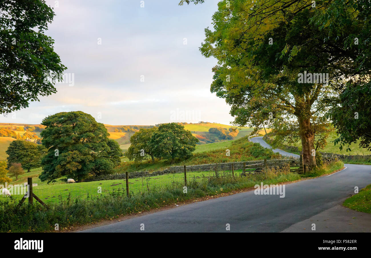 Yorkshire Countryside in Autumn Stone Wall Sun Sunset, Strines ...