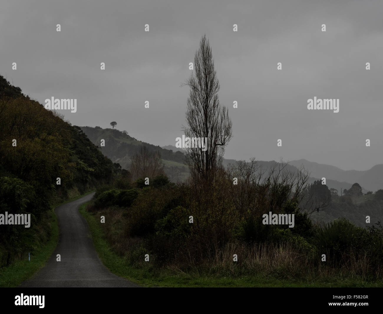 Whanganui river road hi-res stock photography and images - Alamy