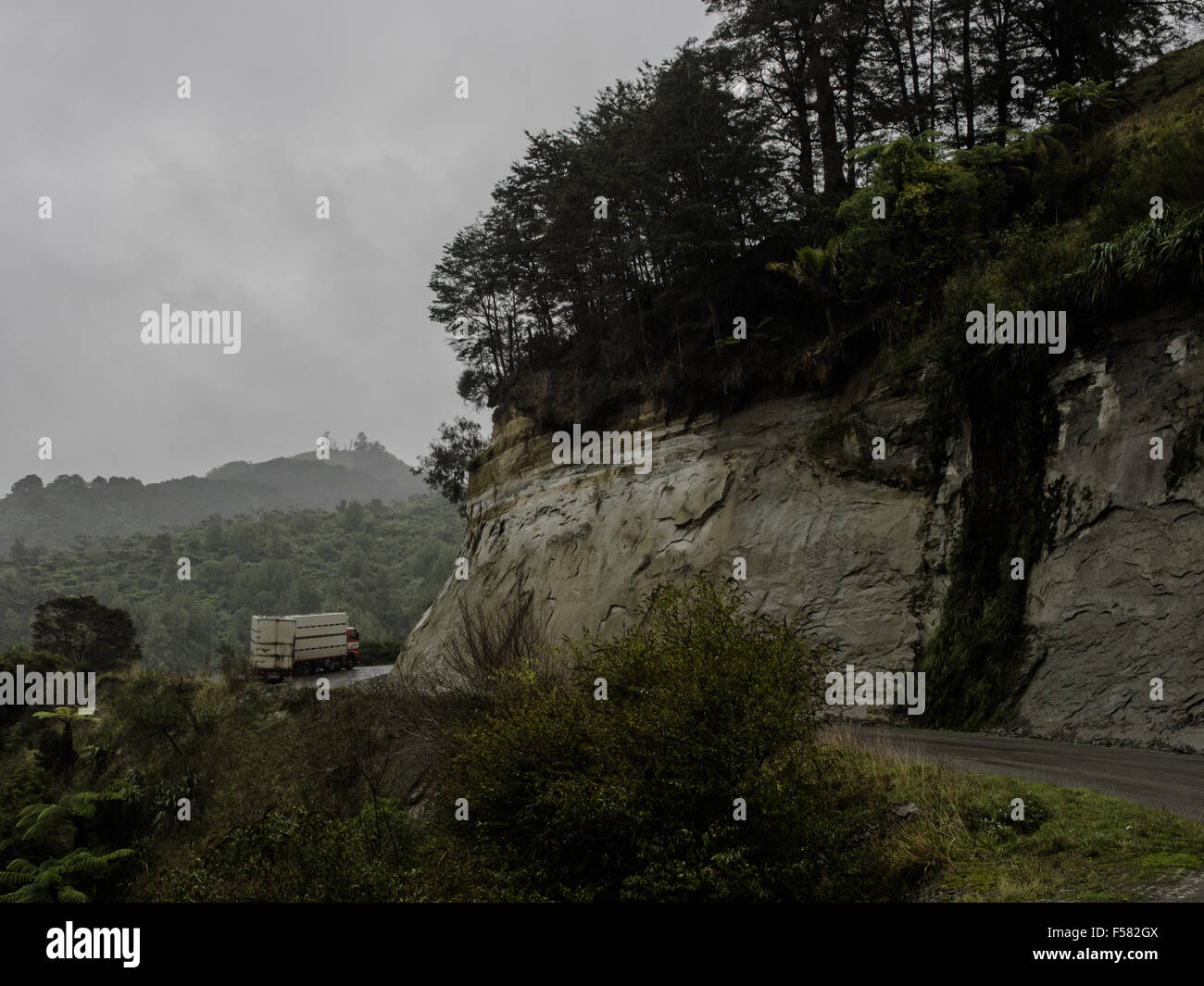 River Road, Whanganui River, New Zealand Stock Photo - Alamy