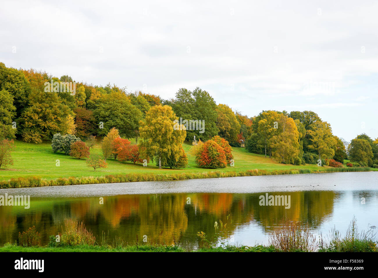 Autumn Trees By The Yorkshire Lake Stock Photo - Alamy