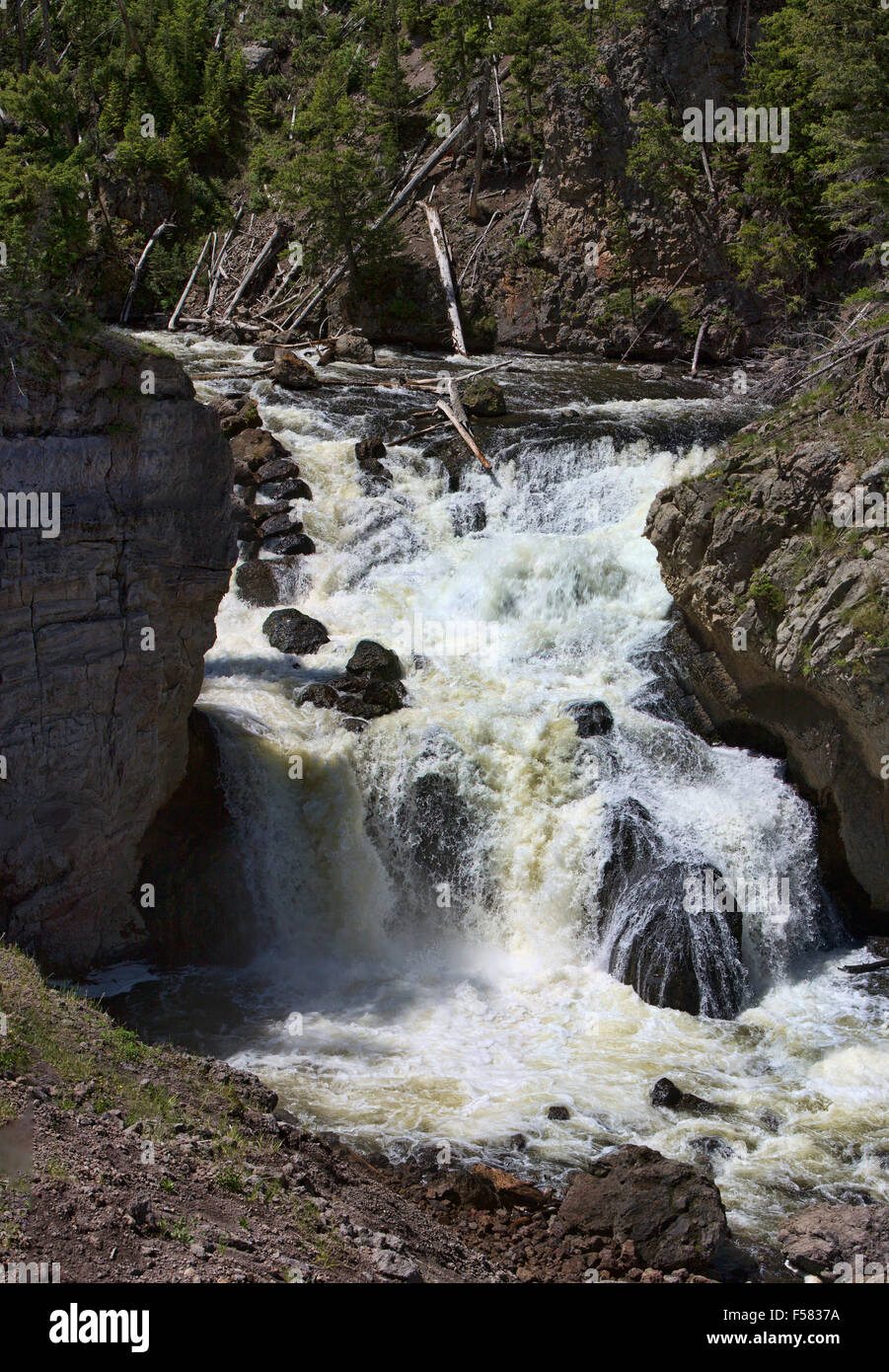Yellowstone National Park, Firehole River, vertical panorama Stock ...