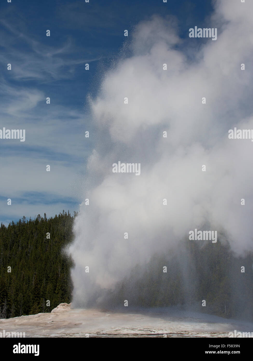 Old Faithful Geyser eruption Yellowstone Stock Photo - Alamy