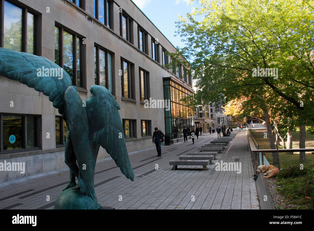 The Library at McGIll University in Montreal, Quebec Stock Photo - Alamy