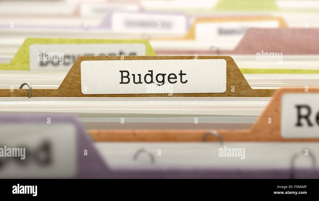 File Folder Labeled as Budget in Multicolor Archive. Closeup View ...