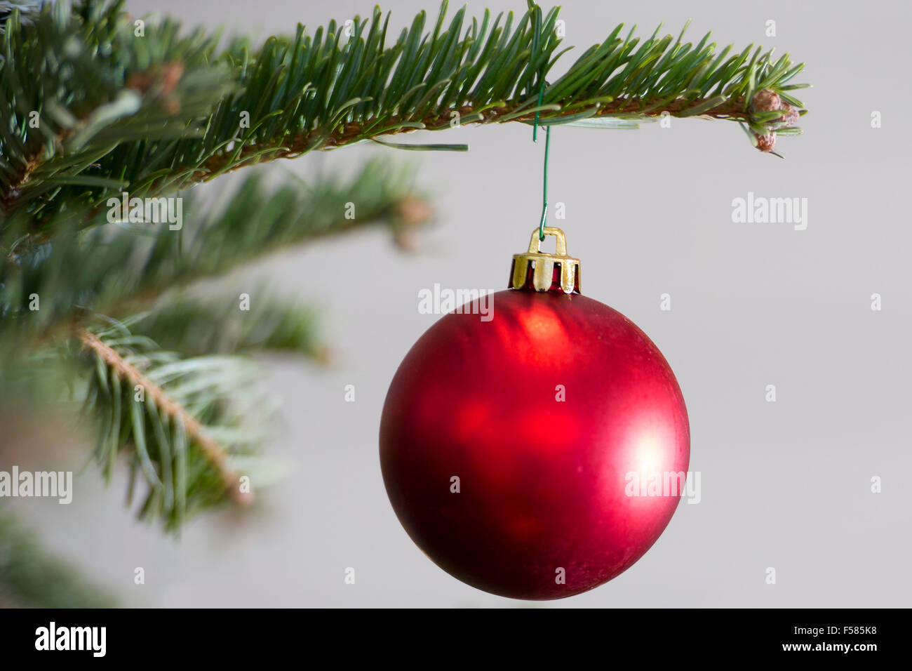 A red bauble hanging on a Christmas tree Stock Photo - Alamy