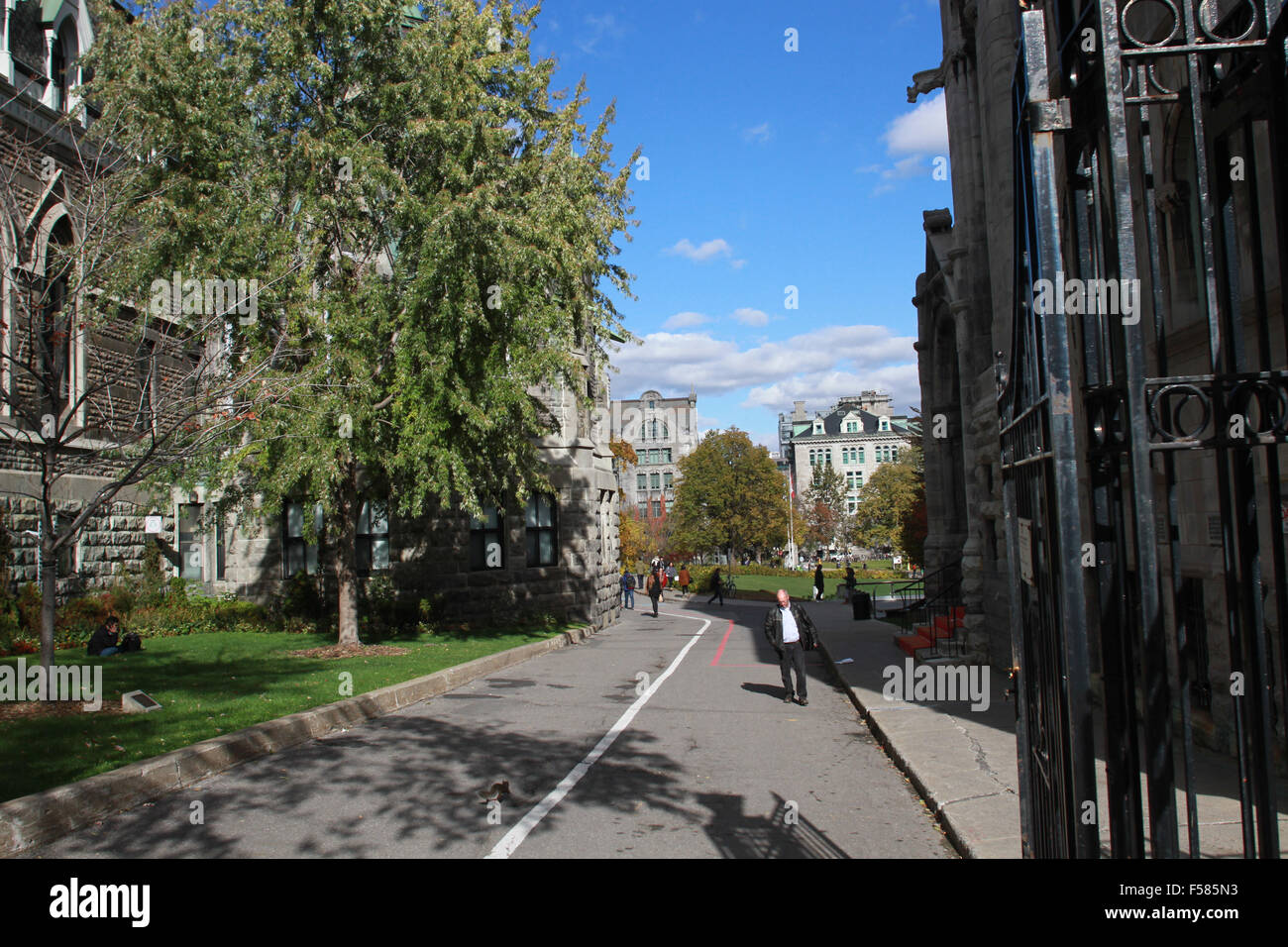 McGill University Campus in Montreal, Quebec Stock Photo - Alamy