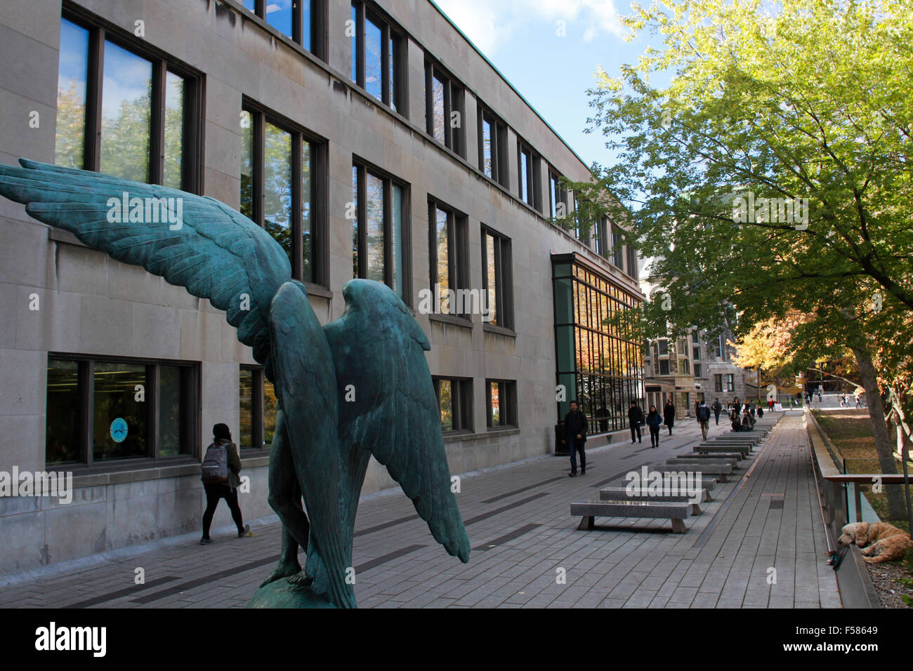 The Library at McGIll University in Montreal, Quebec Stock Photo - Alamy