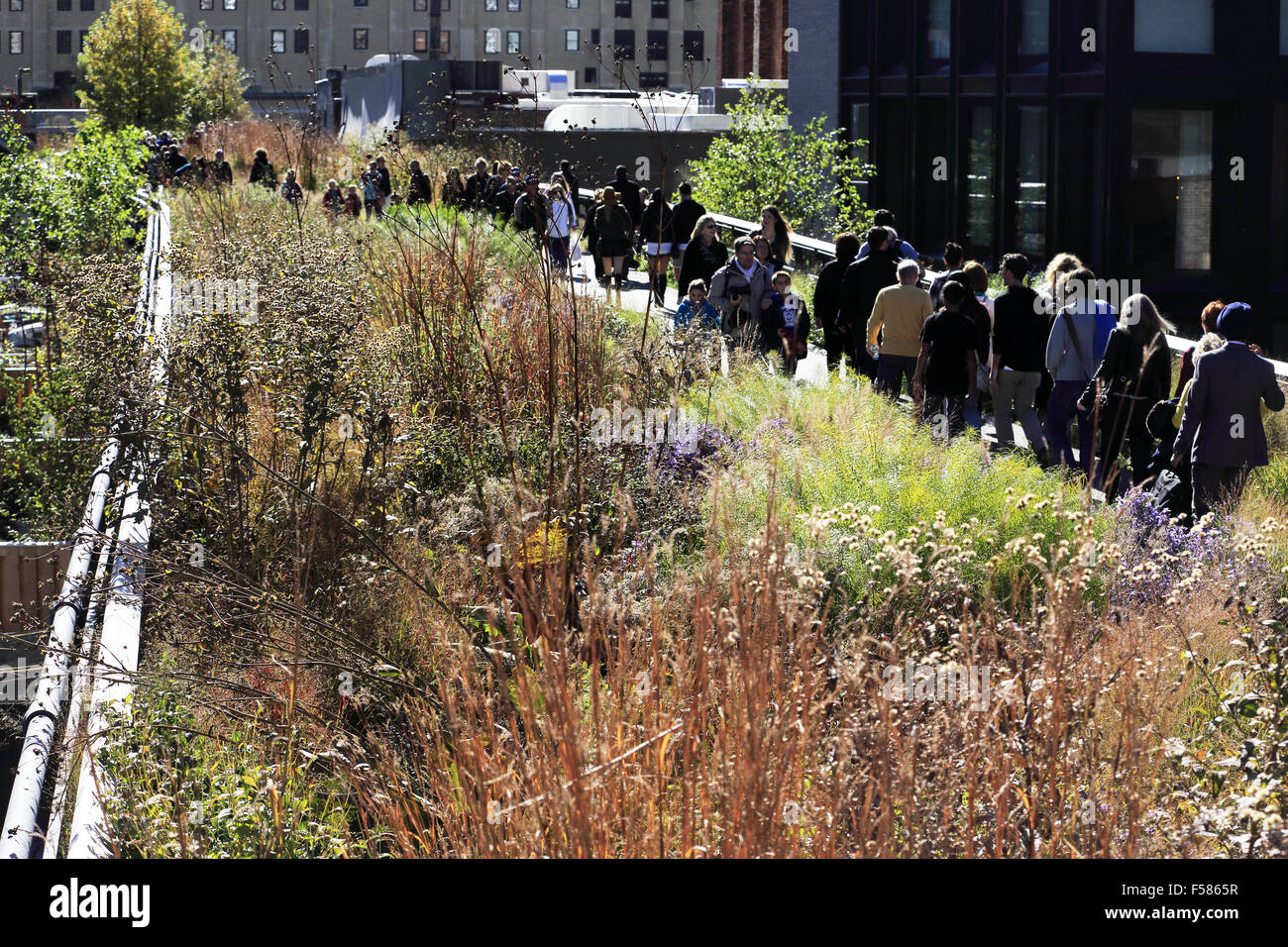 High Line Park constructed on former elevated railroad on west side of ...