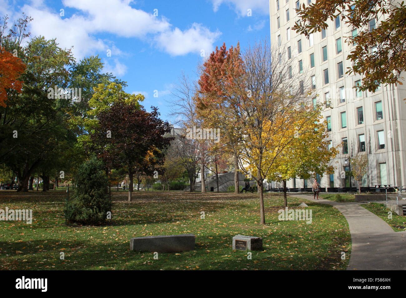 McGill University Campus in Montreal, Quebec Stock Photo - Alamy