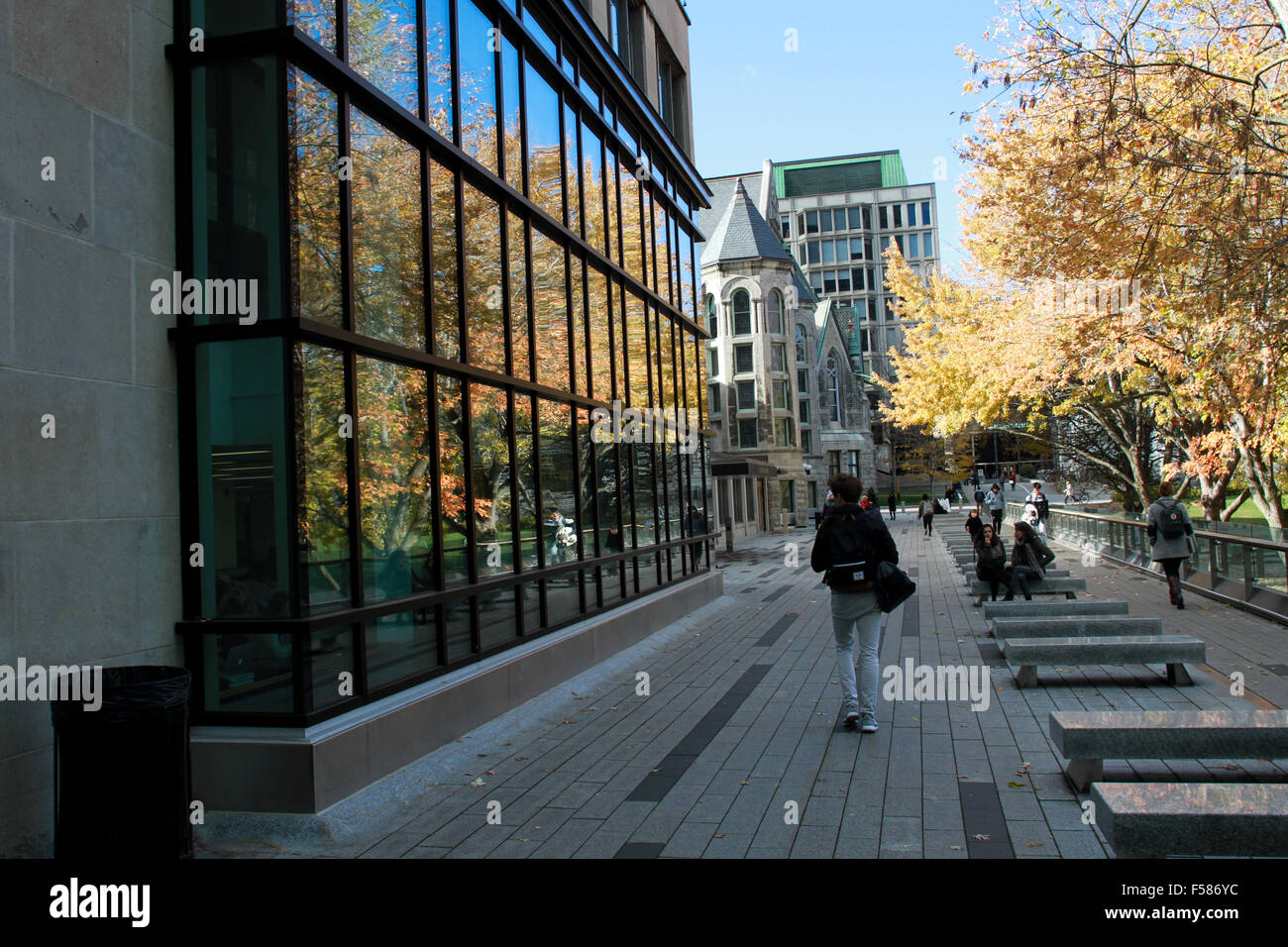 The Library at McGIll University in Montreal, Quebec Stock Photo - Alamy