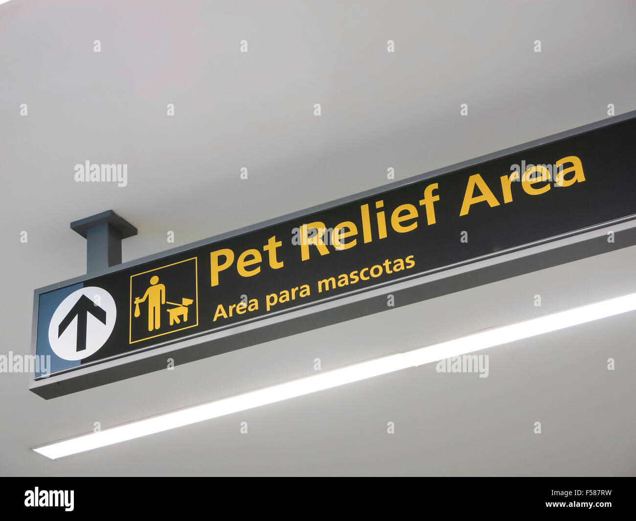 Pet Relief Area Sign, JetBlue, Terminal 5, John F. Kennedy ...
