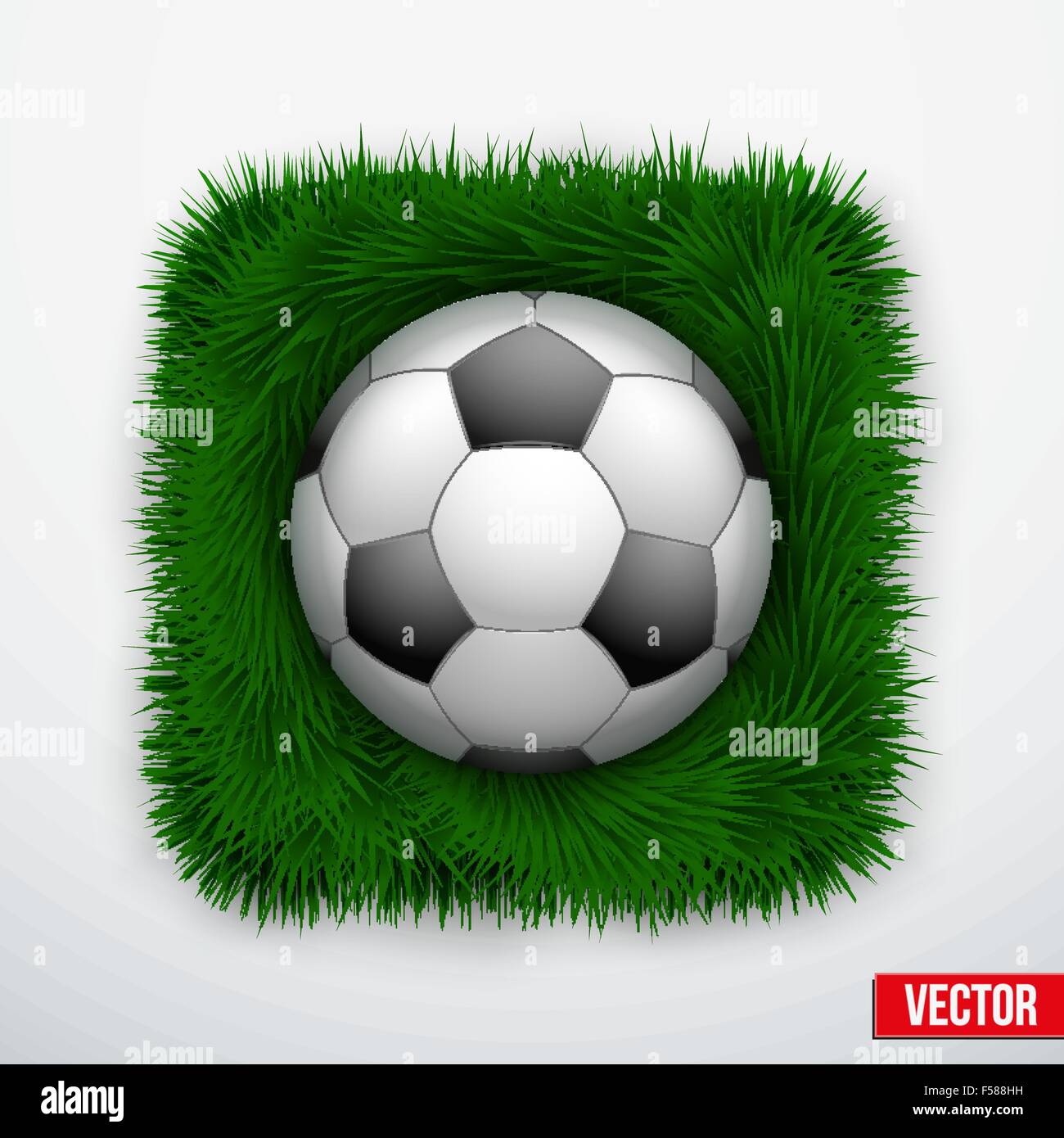 Icon football ball in green grass. Vector Stock Vector Image & Art - Alamy