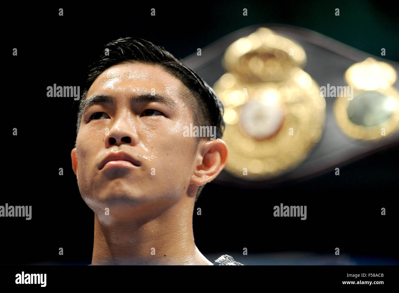 Edion arena osaka hi-res stock photography and images - Alamy