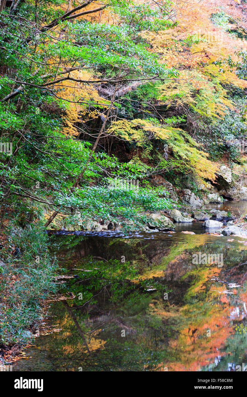 Small rocky gorge hi-res stock photography and images - Alamy