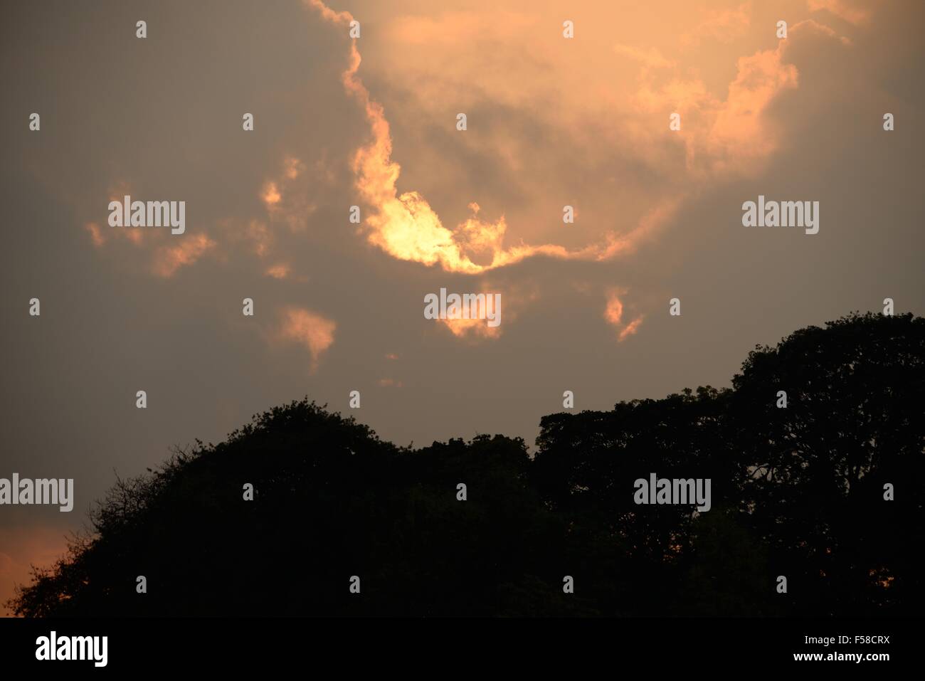 Sunset in Phoenix park Stock Photo - Alamy