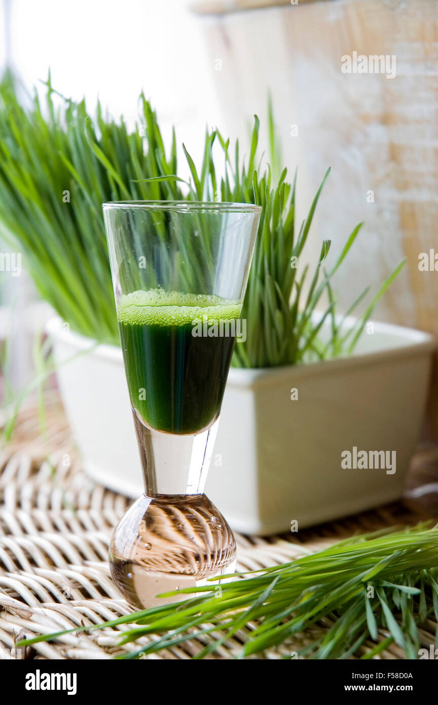 Wheatgrass hi-res stock photography and images - Alamy