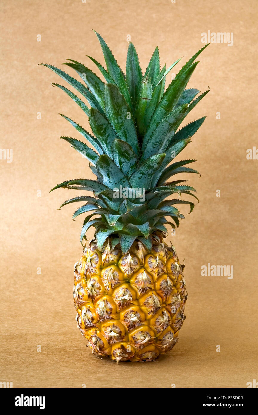 ripe pineapple with green leaves isolated Stock Photo - Alamy