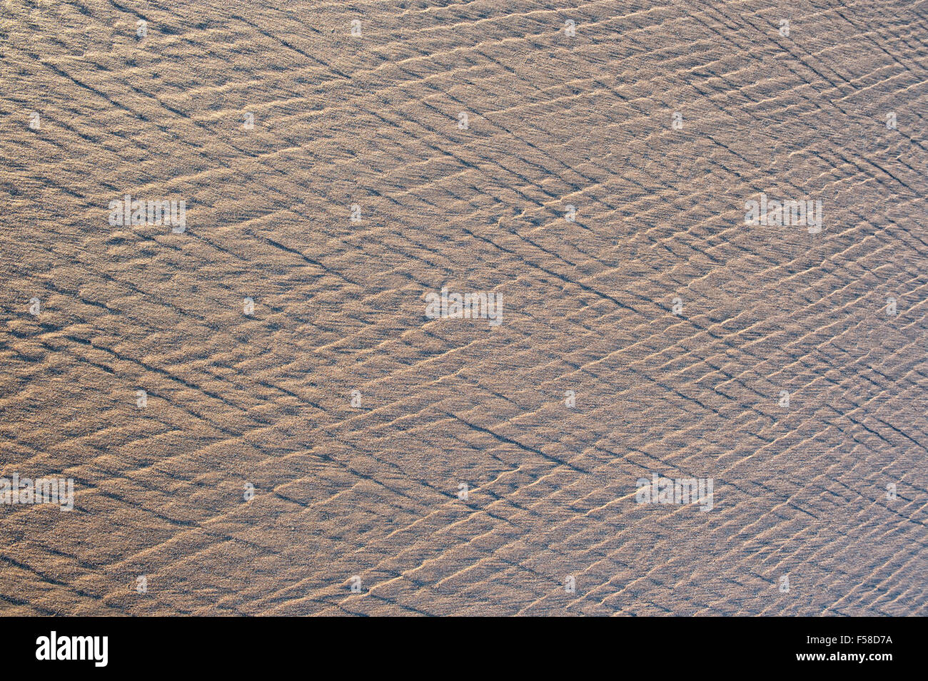 Water patterns on sand with shadows and morning light Stock Photo - Alamy